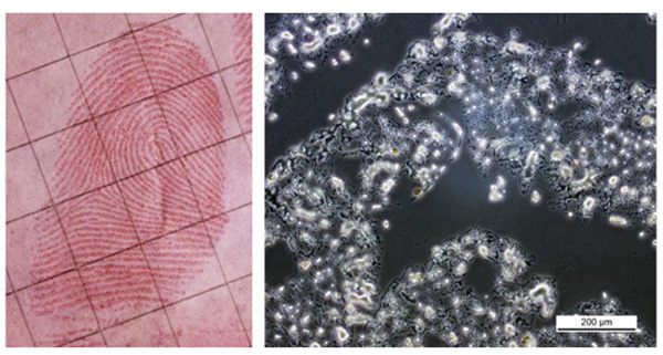 Kurt J. Lesker Company | Frequently Asked Questions - How can I reduce ...